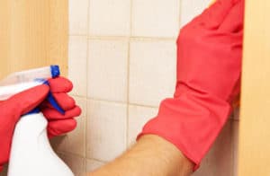 ÁCIDO CLÓRICO » Propiedades Y Empleo Del Componente Inorgánico