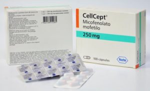 ÁCIDO MICOFENÓLICO » Usos De Este Inmunosupresor Y Sus Riesgos